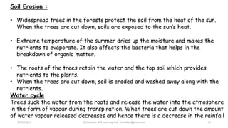 Class 8 Science: Conservation of plants and animals | PPTX