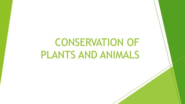 Conservation of plants and animals.pptx