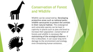 Conservation of plants and animals.pptx