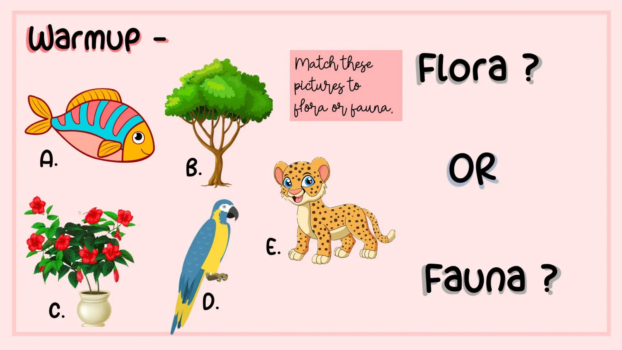 Conservation Of Plants And Animals PPT.pptx