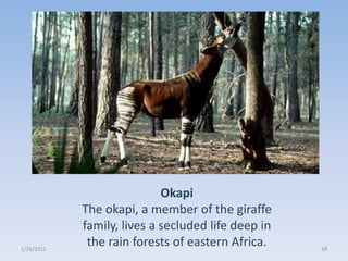 Conservation of plants & animals | PPTX