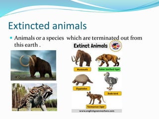 Conservation of plants and animals part2 | PPTX