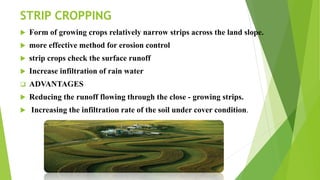 Conservation of soil in rainfed areas ppt | PPTX
