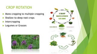 Conservation of soil in rainfed areas ppt | PPTX