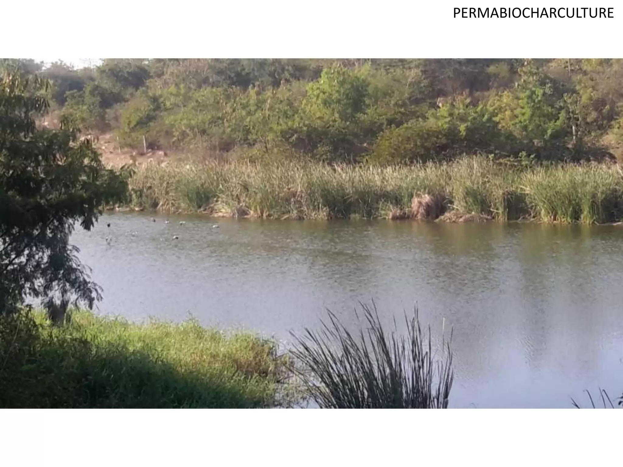 Conservation of Urban Water Bodies ver2 | PPTX