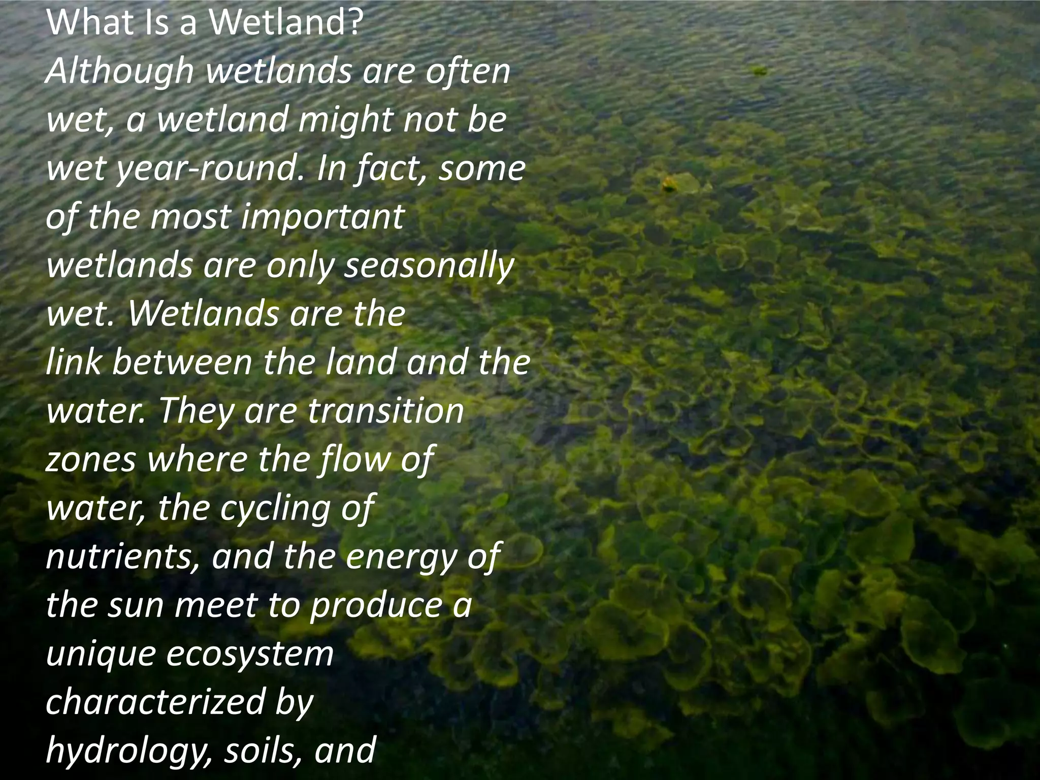 Conservation of wetlands ecosystem | PPTX