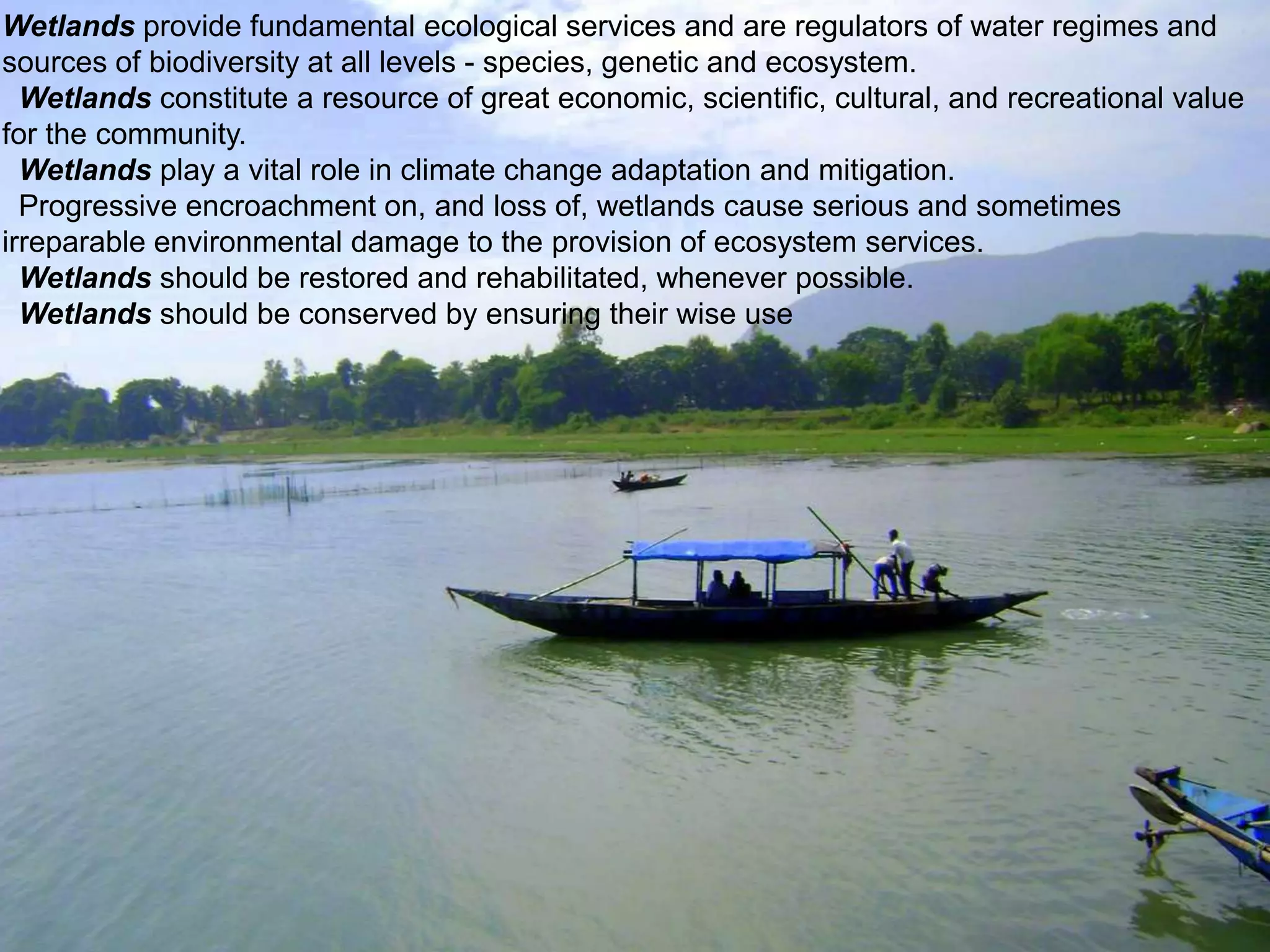Conservation of wetlands ecosystem | PPTX