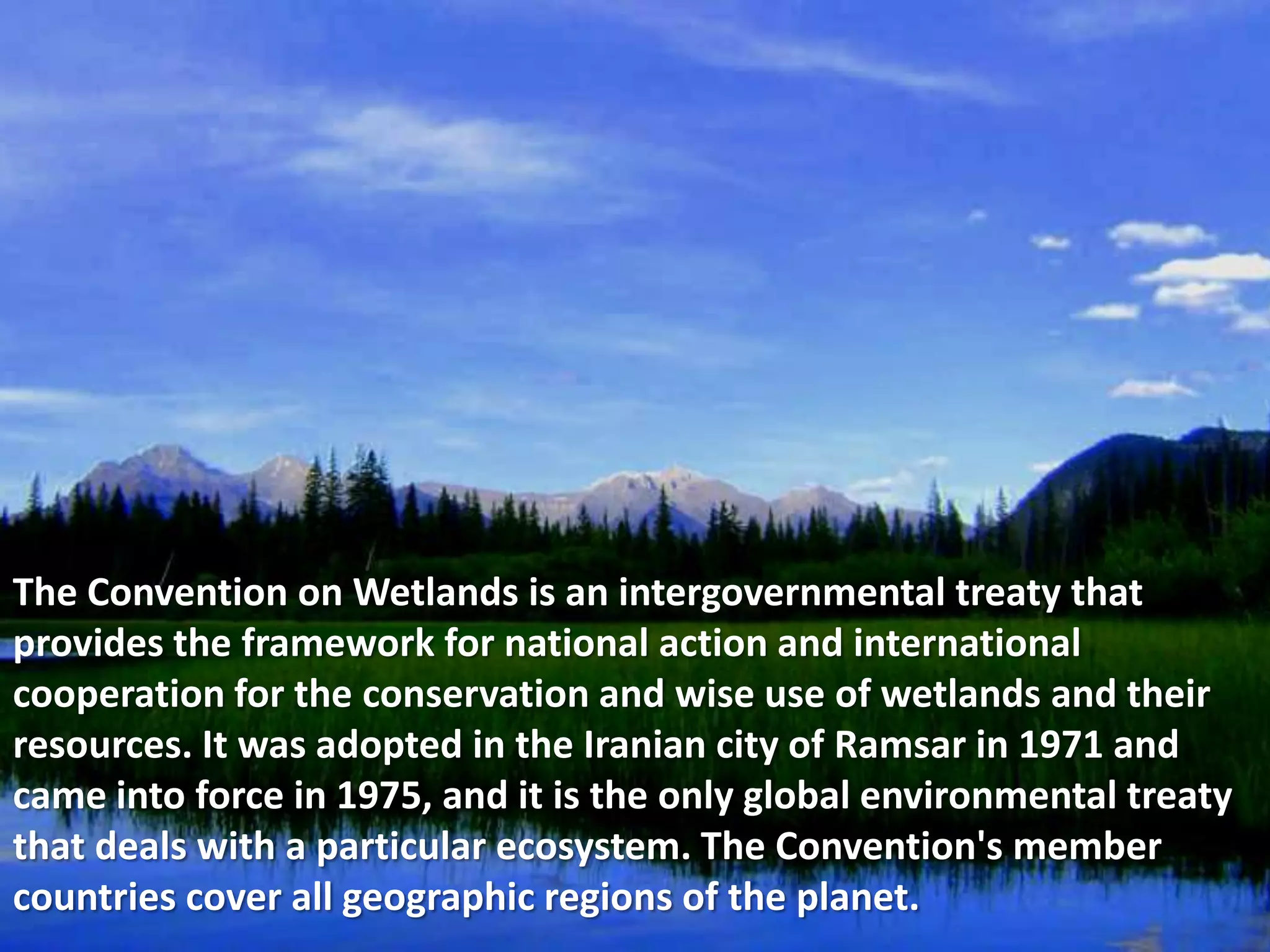 Conservation of wetlands ecosystem | PPTX