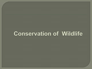 Conservation of wildlife | PPTX