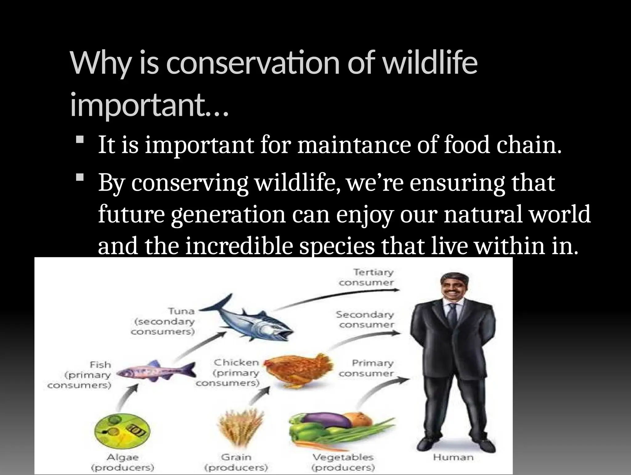Conservation of wildlife ’’ (3).pptx for you | PPTX