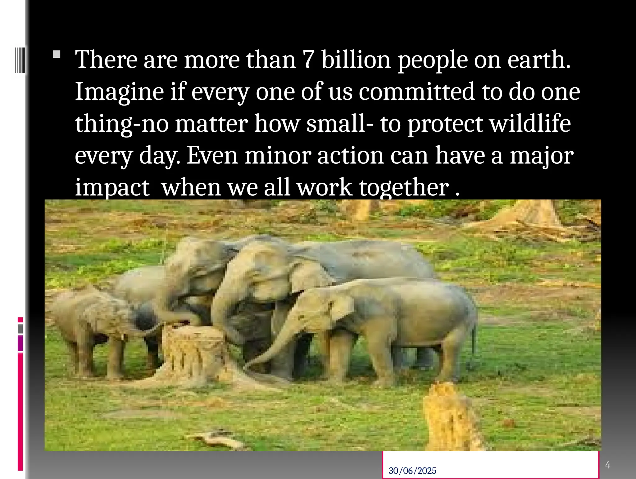 Conservation of wildlife ’’ (3).pptx for you | PPTX