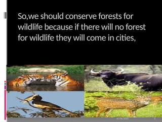 Conservation of wildlife ’’ (3).pptx for you | PPTX