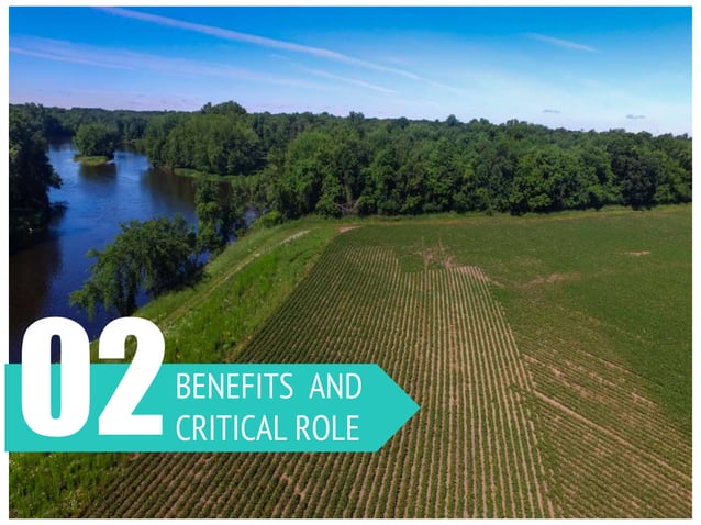 Conservation partnerships for parks and recreation | PPT