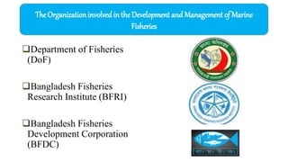 Management interventions on the Bay of Bengal Fishery, Bangladesh | PPTX