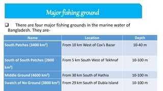 Management interventions on the Bay of Bengal Fishery, Bangladesh | PPTX