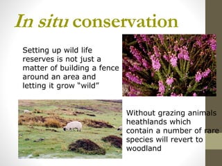 Conservation program for endangered species | PPTX