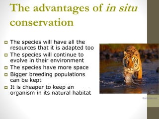 Conservation program for endangered species | PPTX