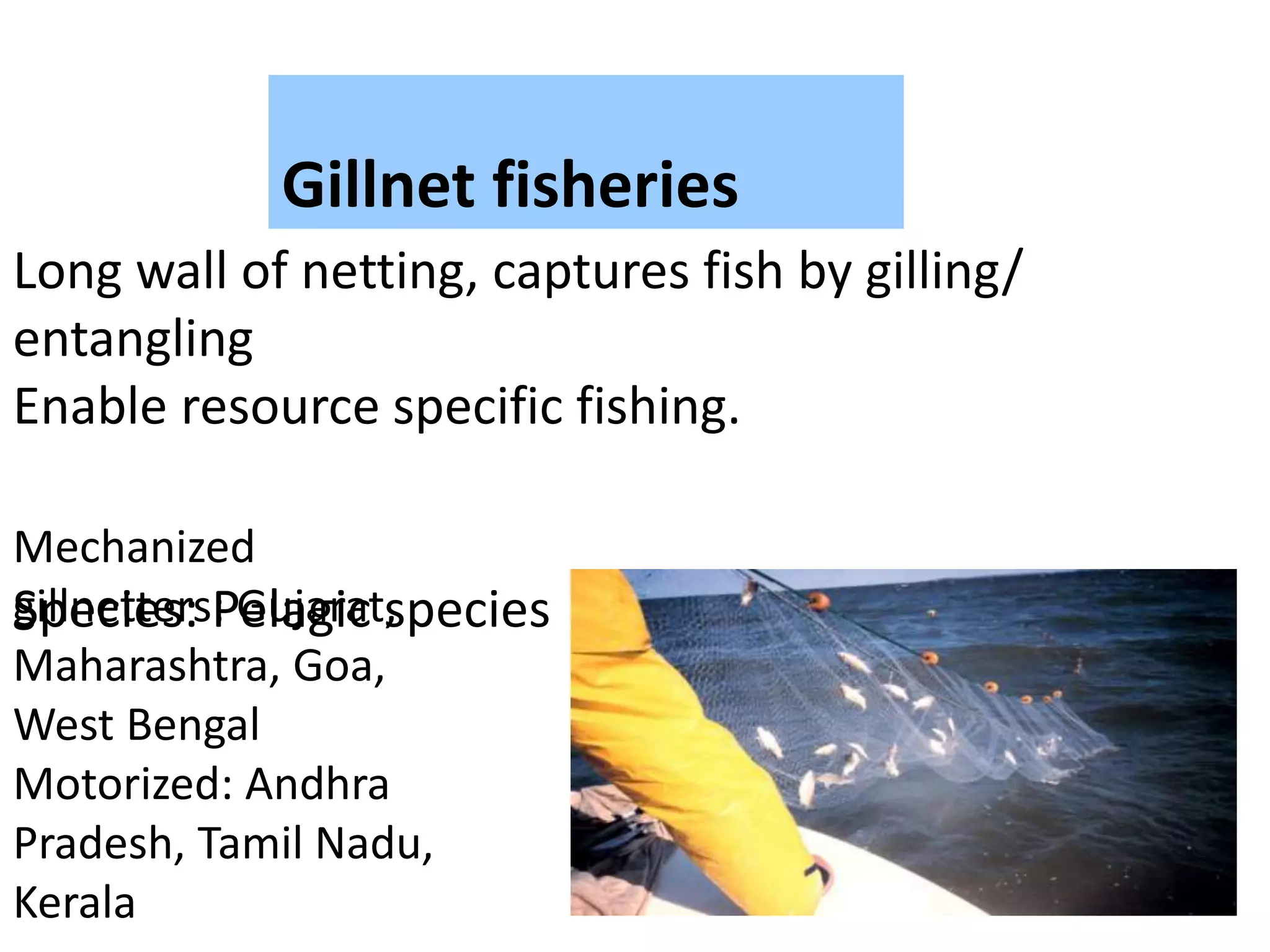 Conservation Strategies for Indian Marine Fisheries with special ...