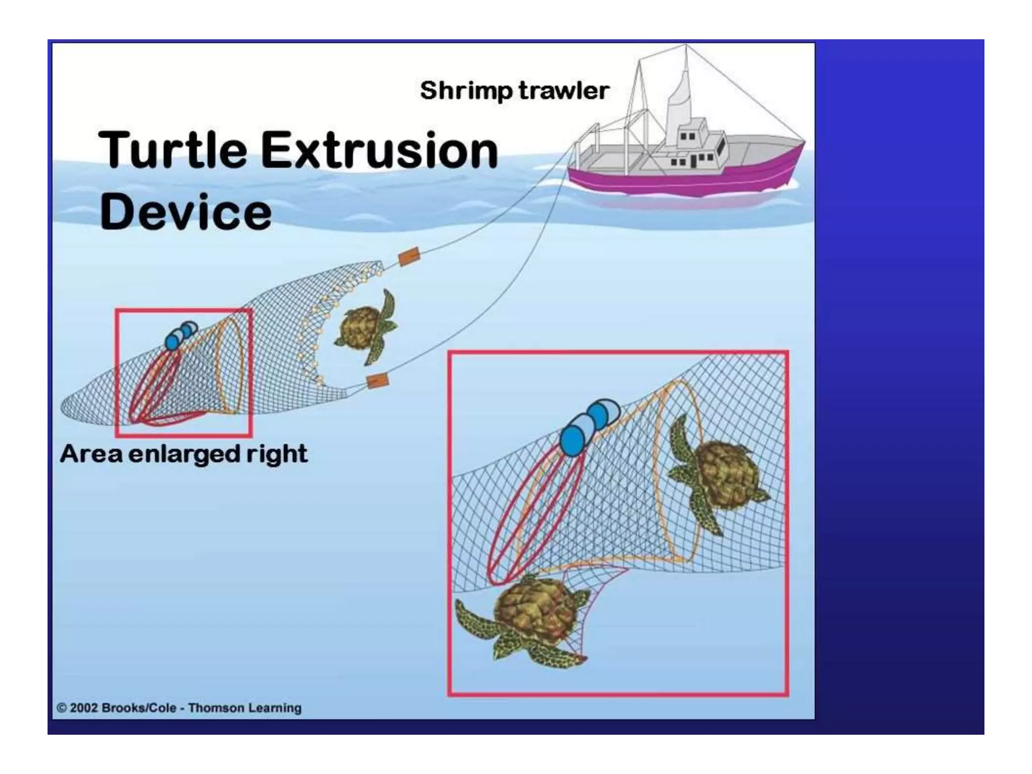 Conservation Strategies for Indian Marine Fisheries with special ...