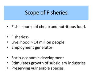 Conservation Strategies for Indian Marine Fisheries with special ...