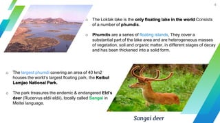 Conservation strategies for LOKTAK lake ecosystem | PPTX