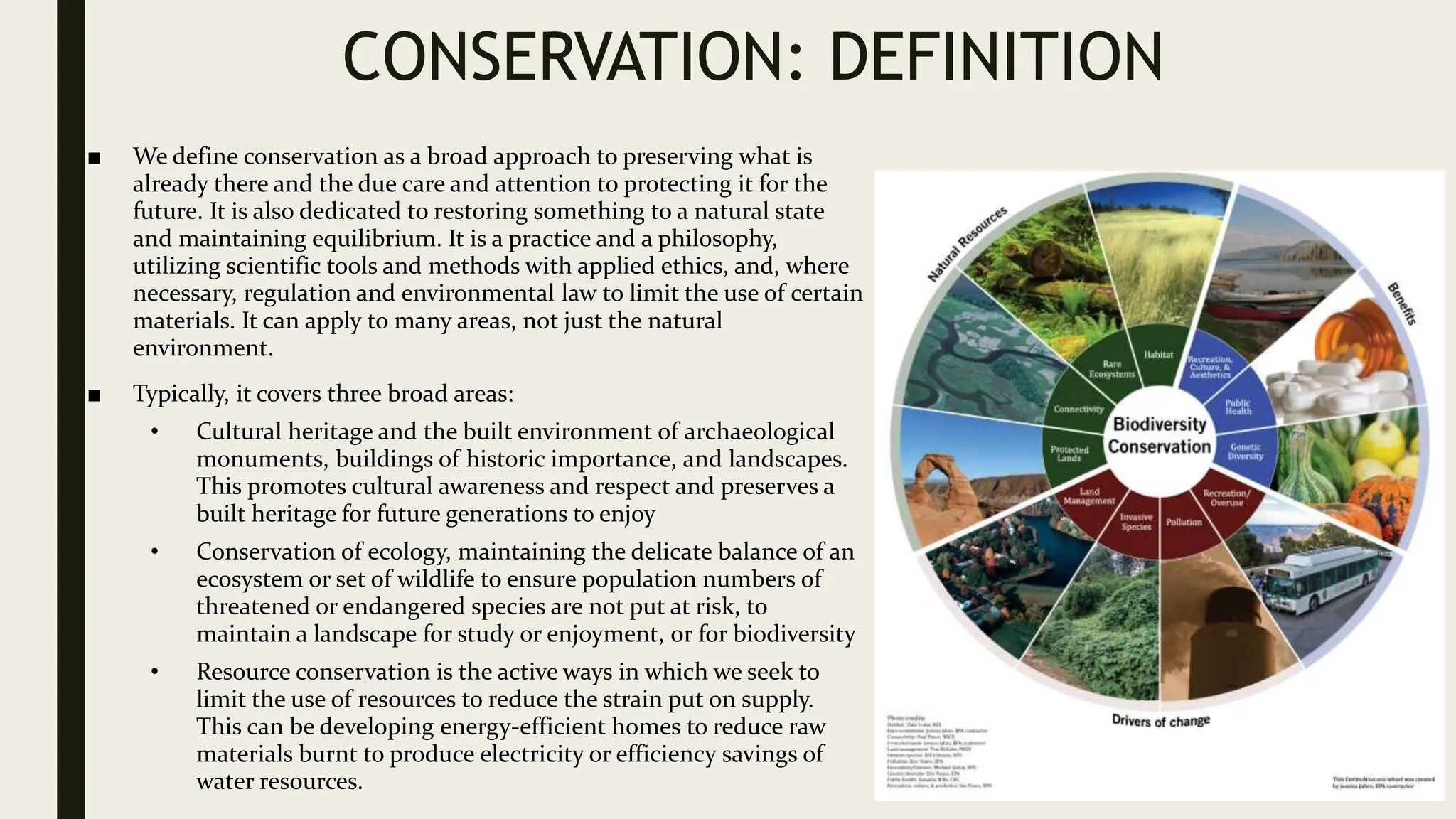 CONSERVATION THROUGH AGES.pptx mtm ignou | PPTX