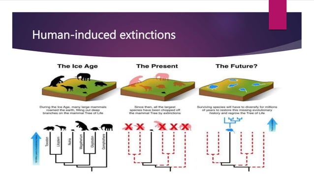 Conservation through population and ecosystem management by Fouzia ...