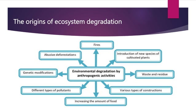 Conservation through population and ecosystem management by Fouzia ...