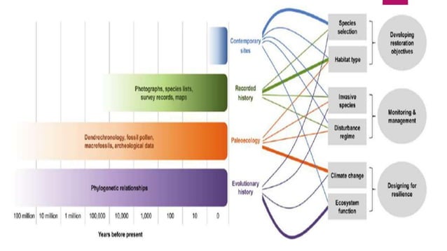 Conservation through population and ecosystem management by Fouzia ...