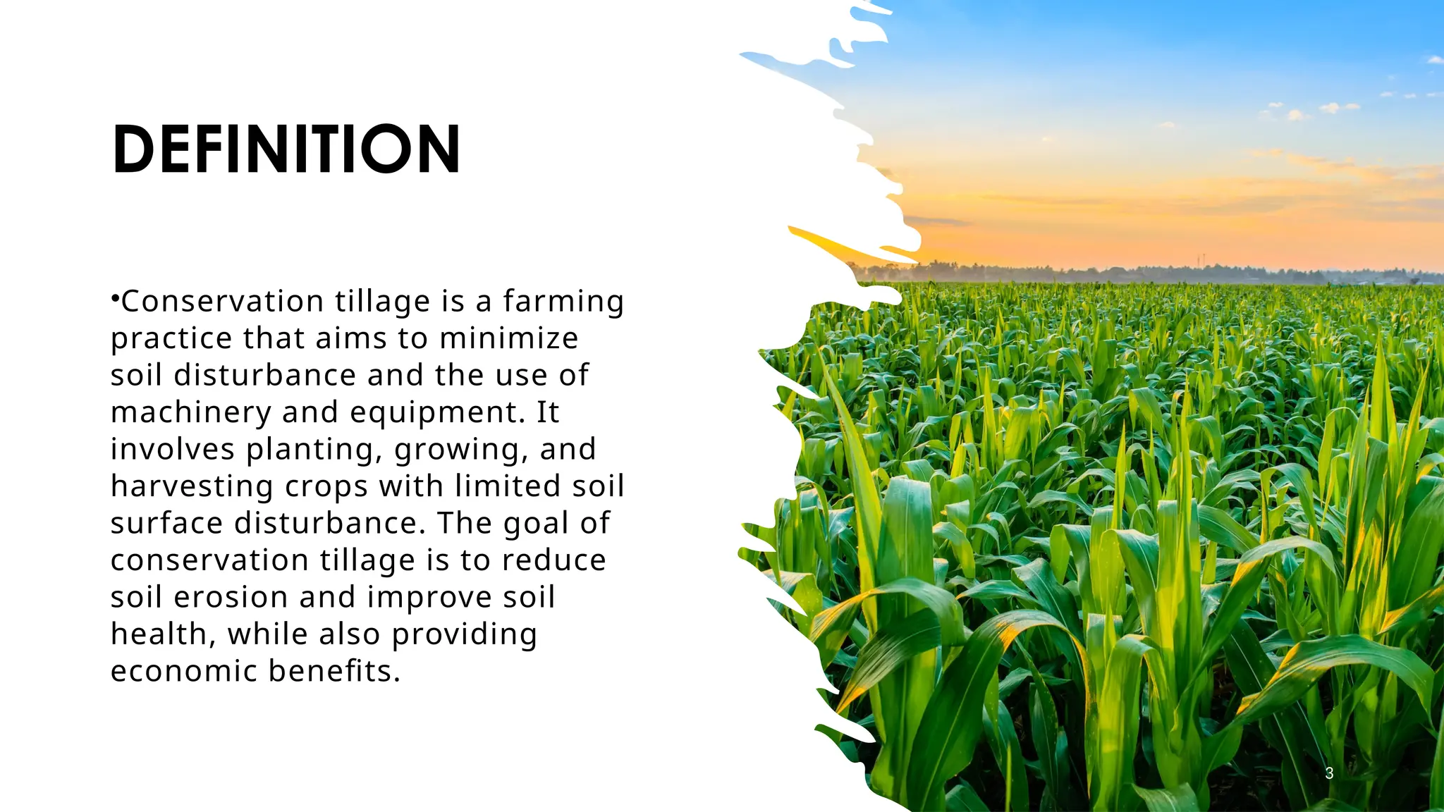 Conservation Tillage- A sustainable Approach.pptx