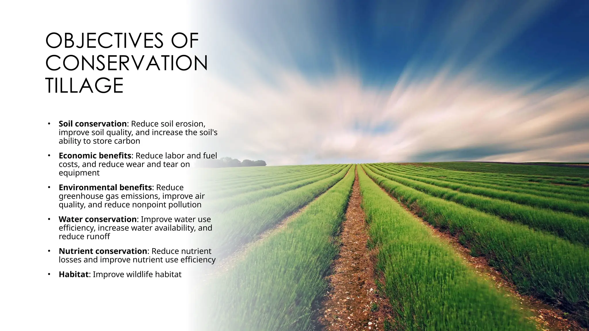 Conservation Tillage- A sustainable Approach.pptx