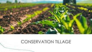 Conservation Tillage- A sustainable Approach.pptx
