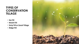 Conservation Tillage- A sustainable Approach.pptx