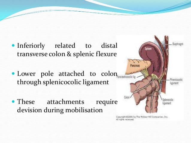 Conservative management of spleenic injury by dr. raheel anis.