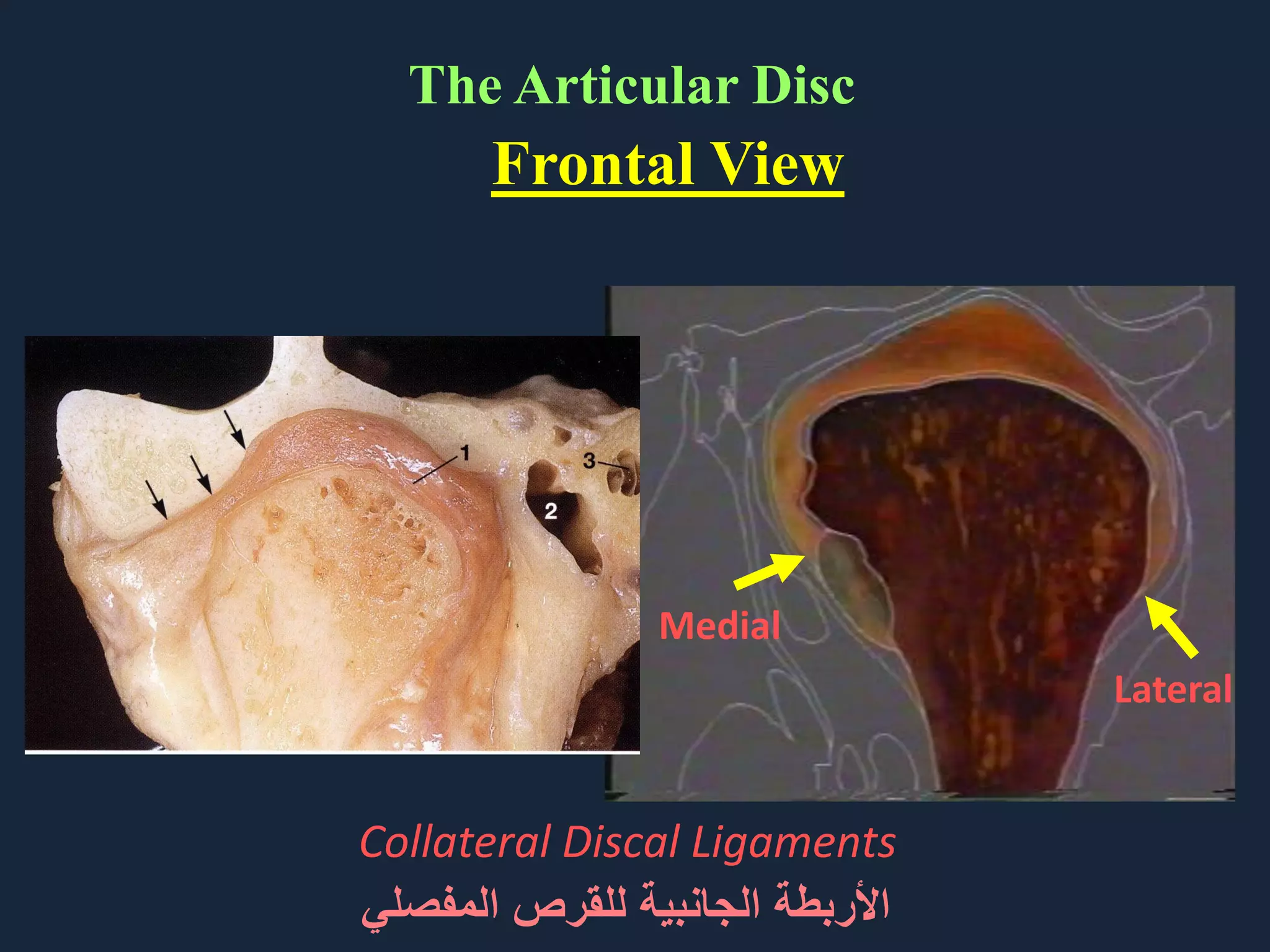 Conservative management of temporomandibular disorders | PDF