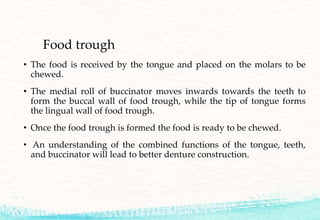 Conservative prosthodontic procedures to improve mandibular denture ...