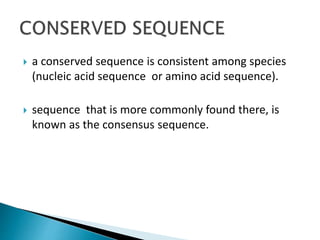 Conserved sequences | PPT