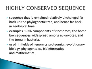 Conserved sequences | PPTX