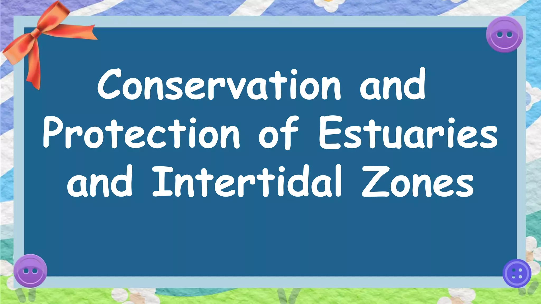 CONSERVE ESTUARY.pptx