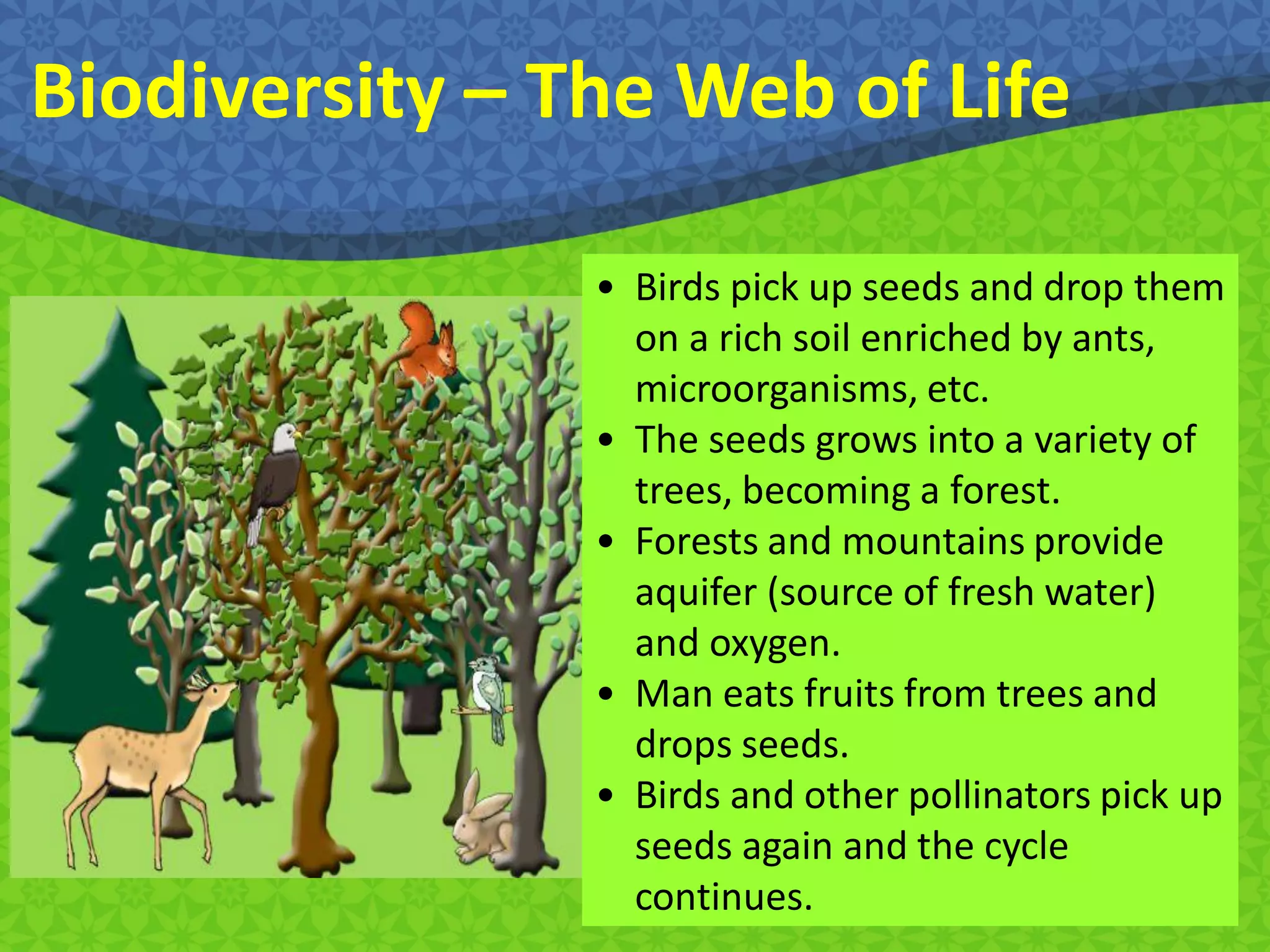 Philippine Biodiversity: Issues, Challenges, and Initiatives | PDF