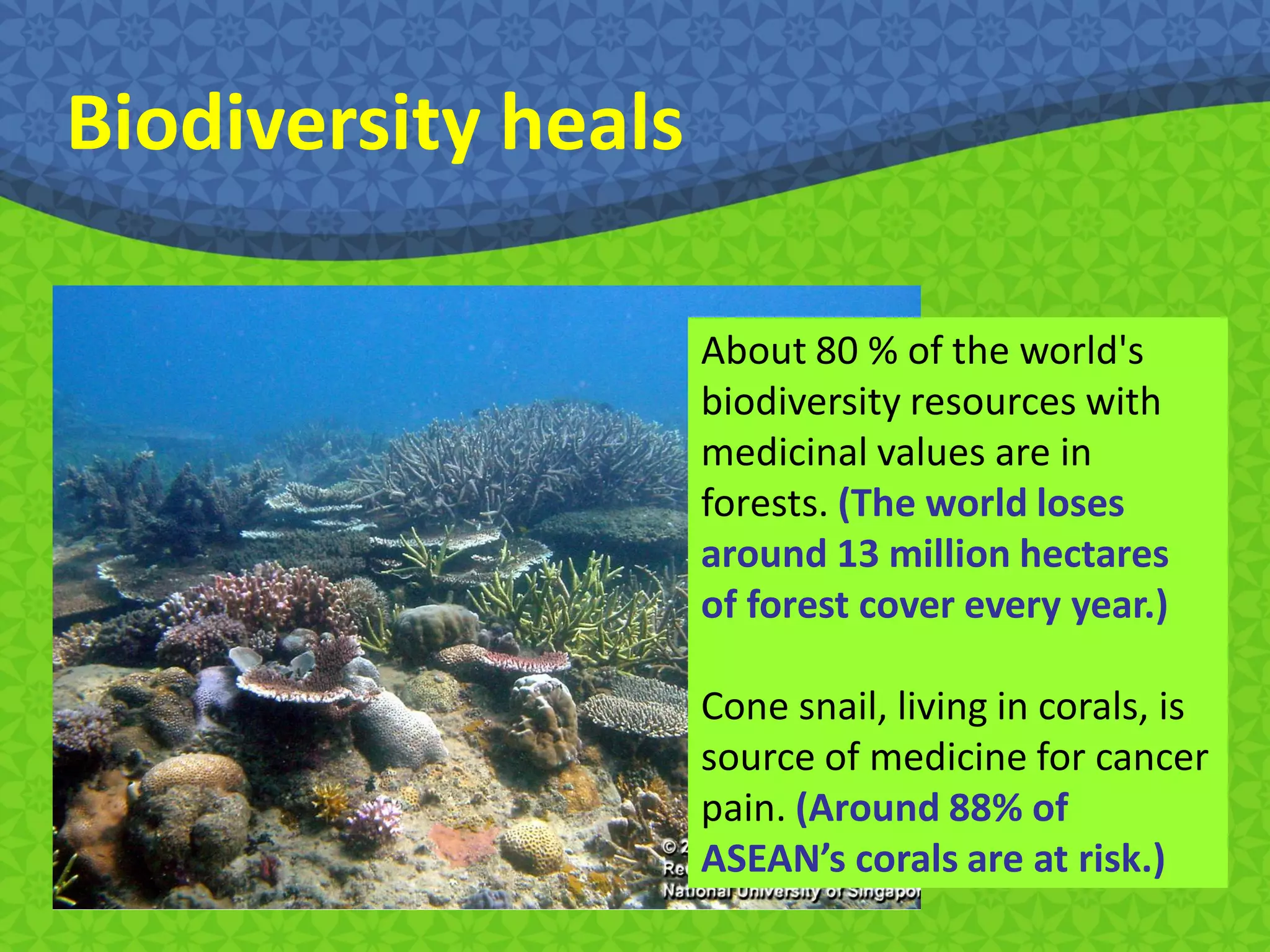 Philippine Biodiversity: Issues, Challenges, and Initiatives | PDF