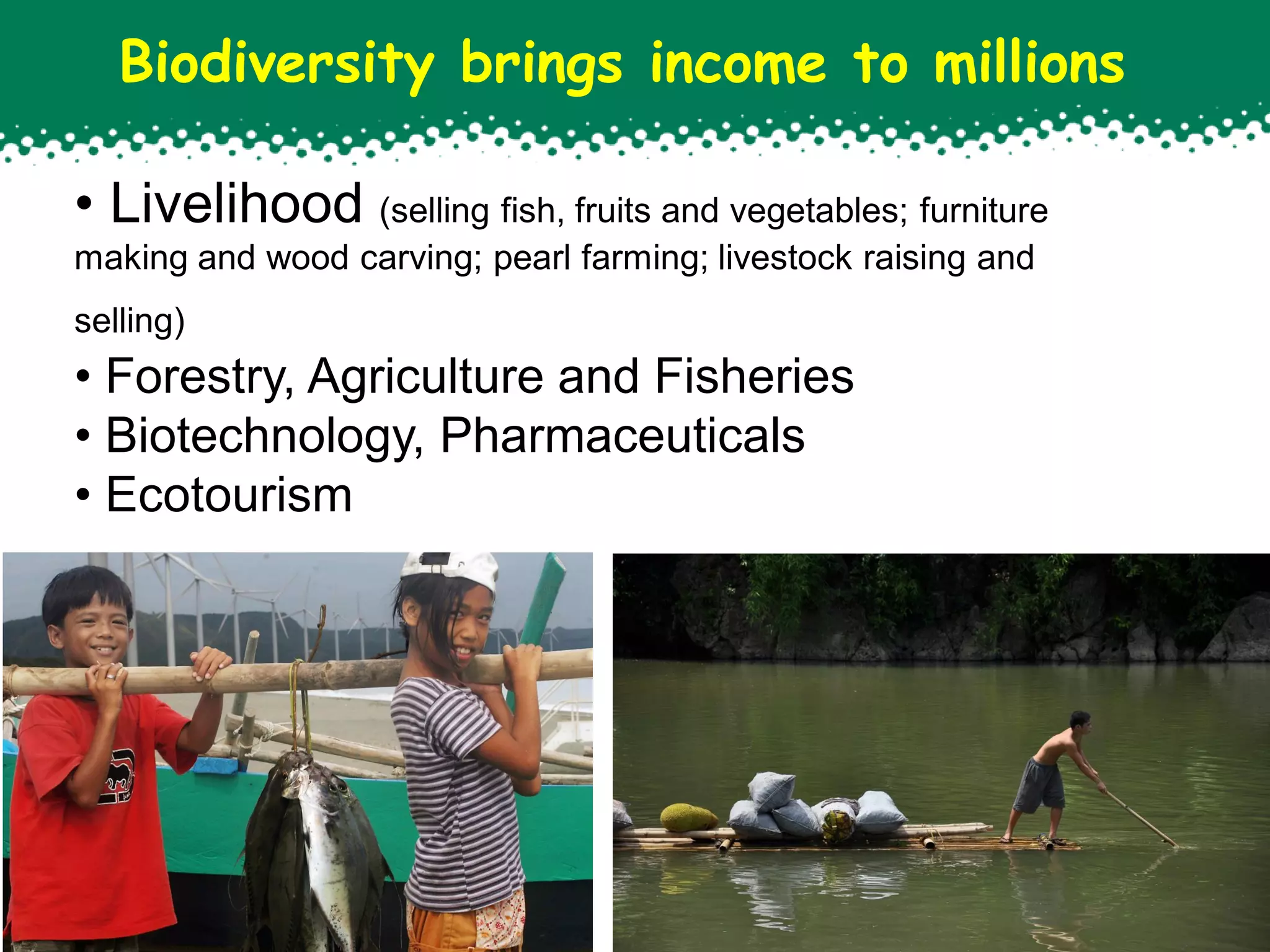 Philippine Biodiversity: Issues, Challenges, and Initiatives | PDF