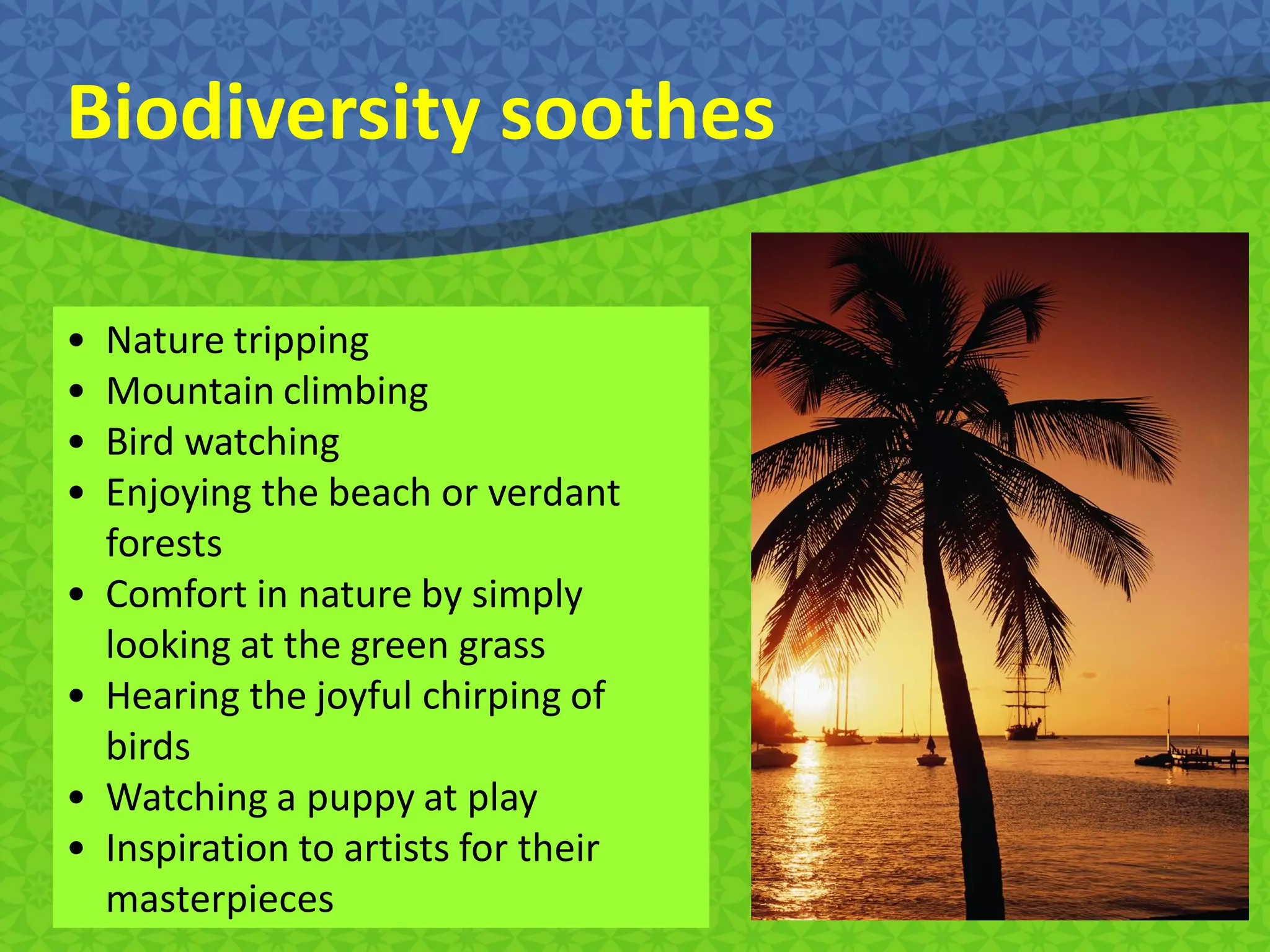 Philippine Biodiversity: Issues, Challenges, and Initiatives | PDF