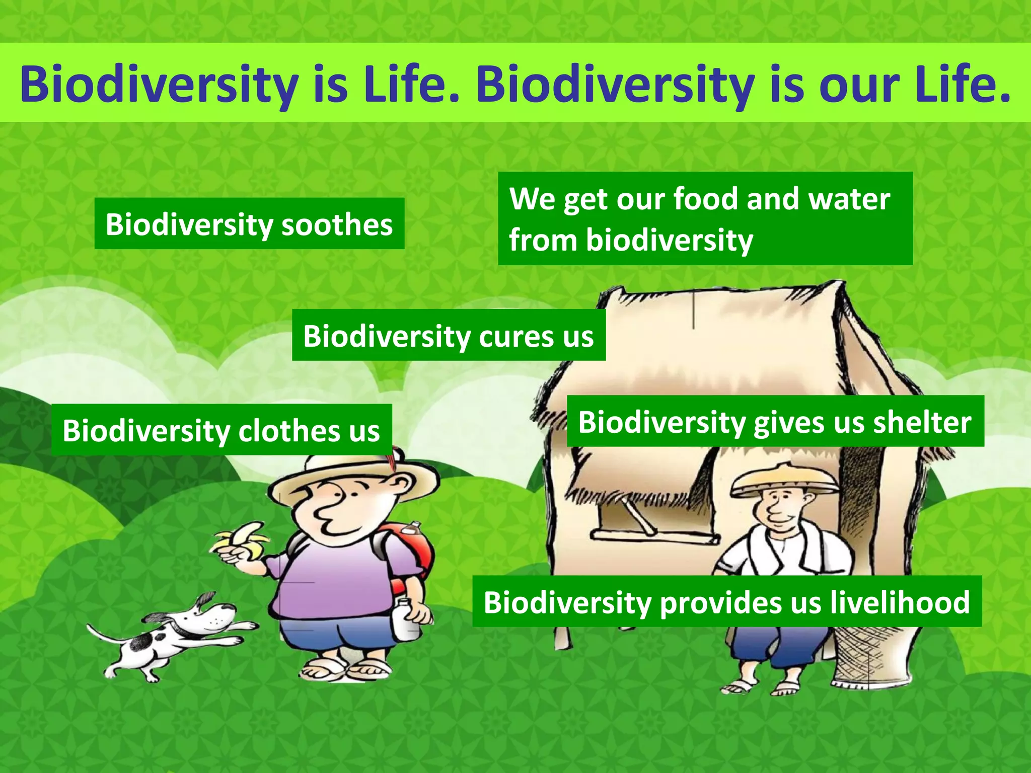 Philippine Biodiversity: Issues, Challenges, and Initiatives | PDF