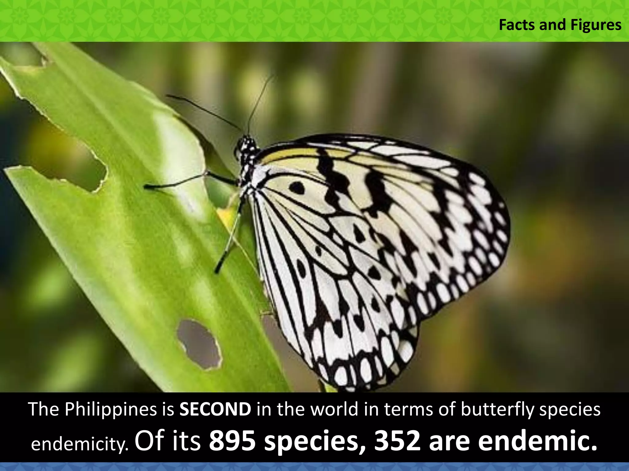 Philippine Biodiversity: Issues, Challenges, and Initiatives | PDF