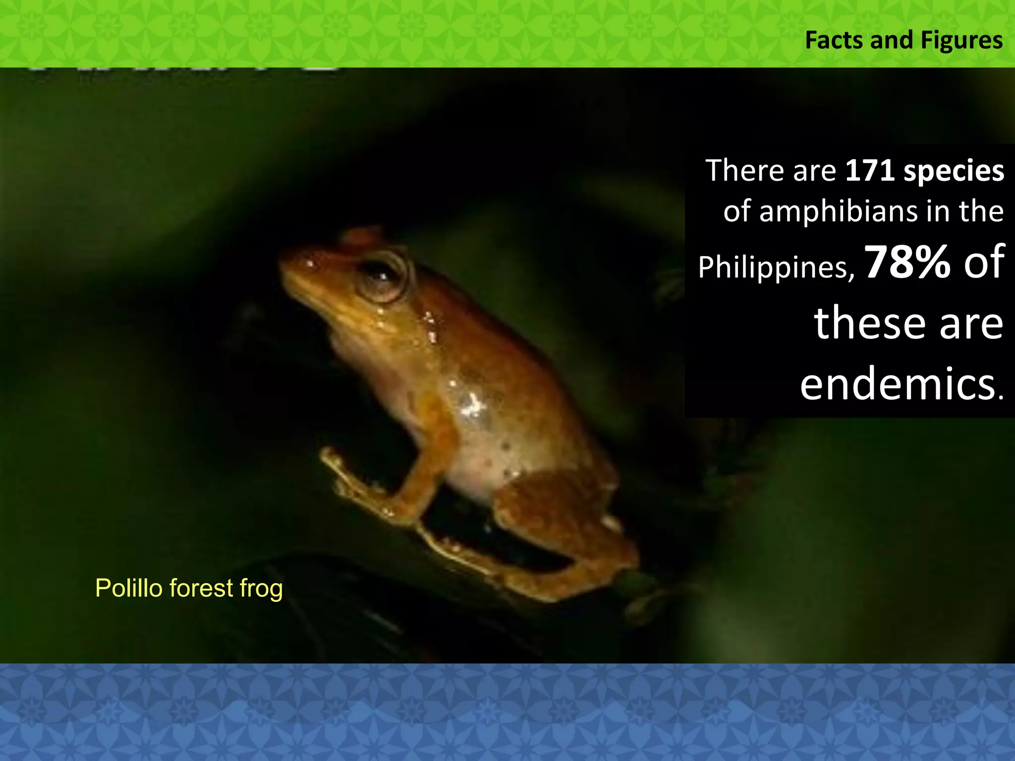 Philippine Biodiversity: Issues, Challenges, and Initiatives | PDF