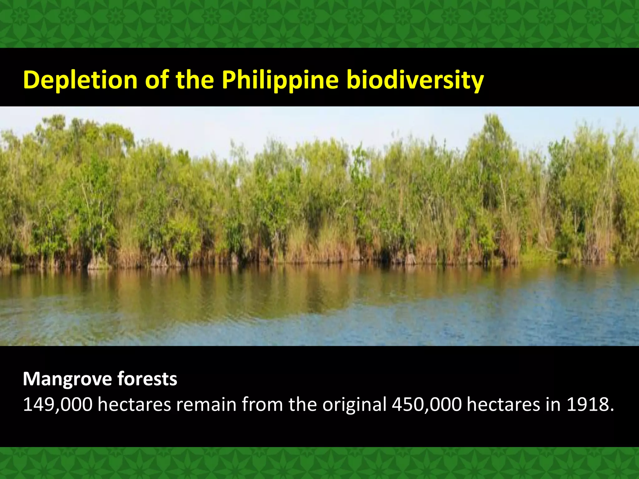 Philippine Biodiversity: Issues, Challenges, and Initiatives | PDF