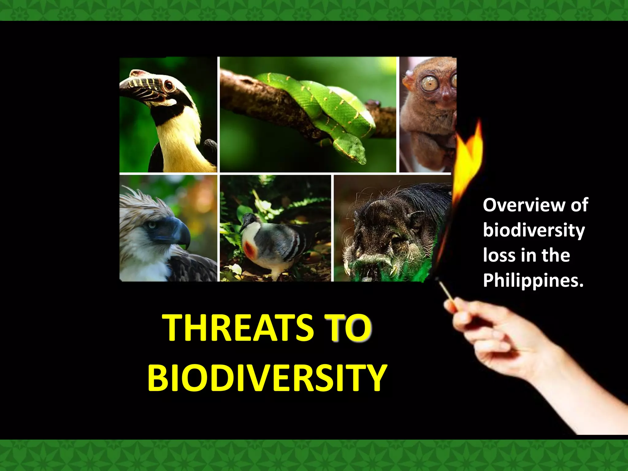 Philippine Biodiversity: Issues, Challenges, and Initiatives | PDF