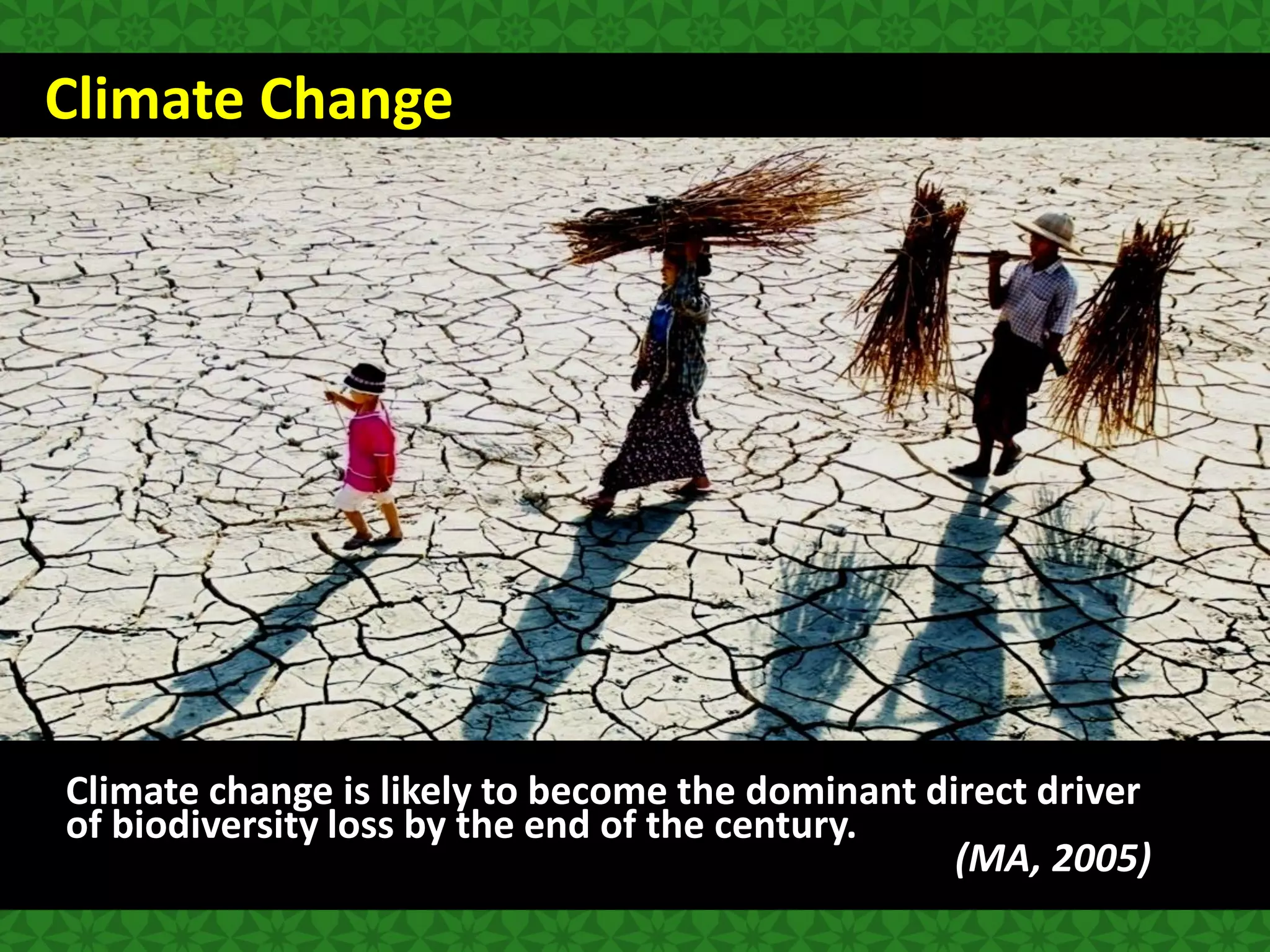 Philippine Biodiversity: Issues, Challenges, and Initiatives | PDF