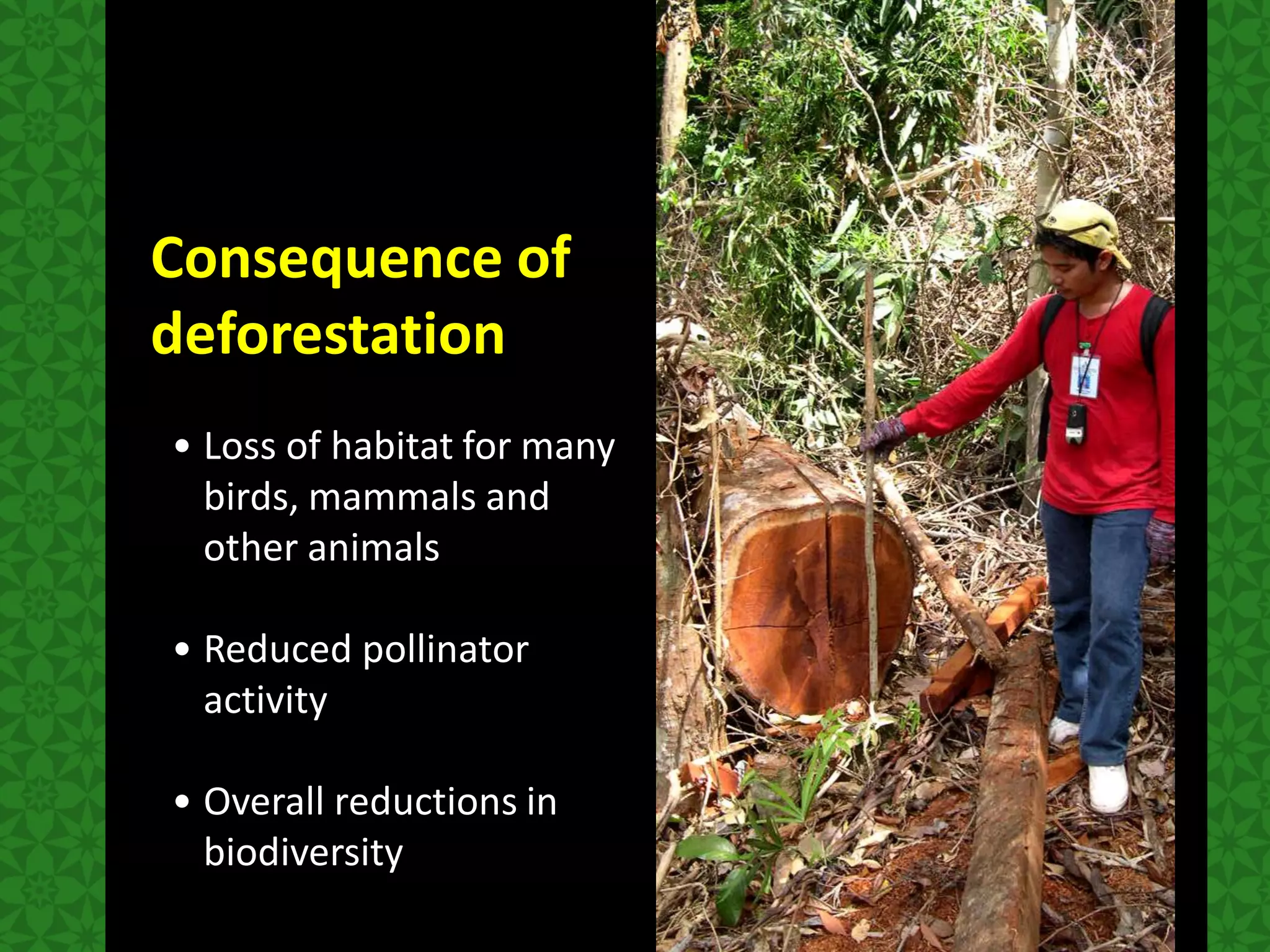 Philippine Biodiversity: Issues, Challenges, and Initiatives | PDF